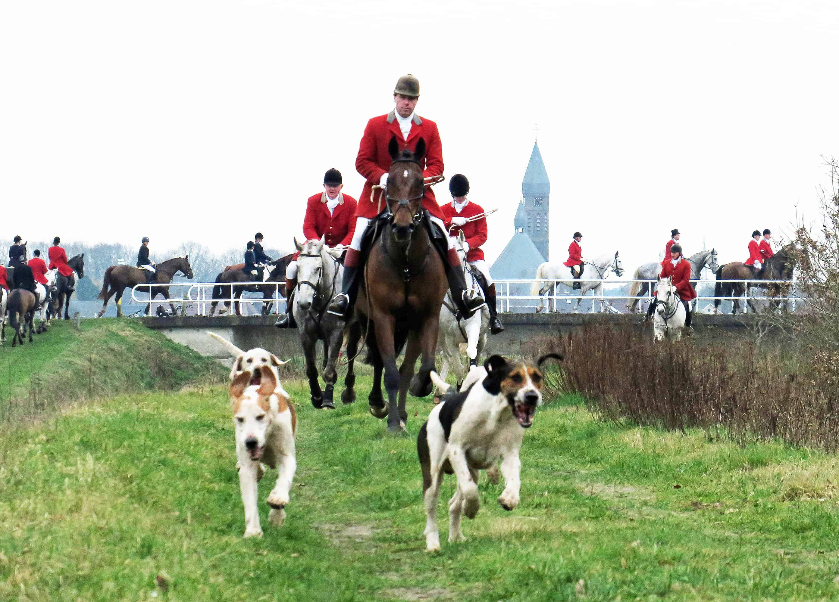 KNJV in de Rietmolen - Rond Haaksbergen