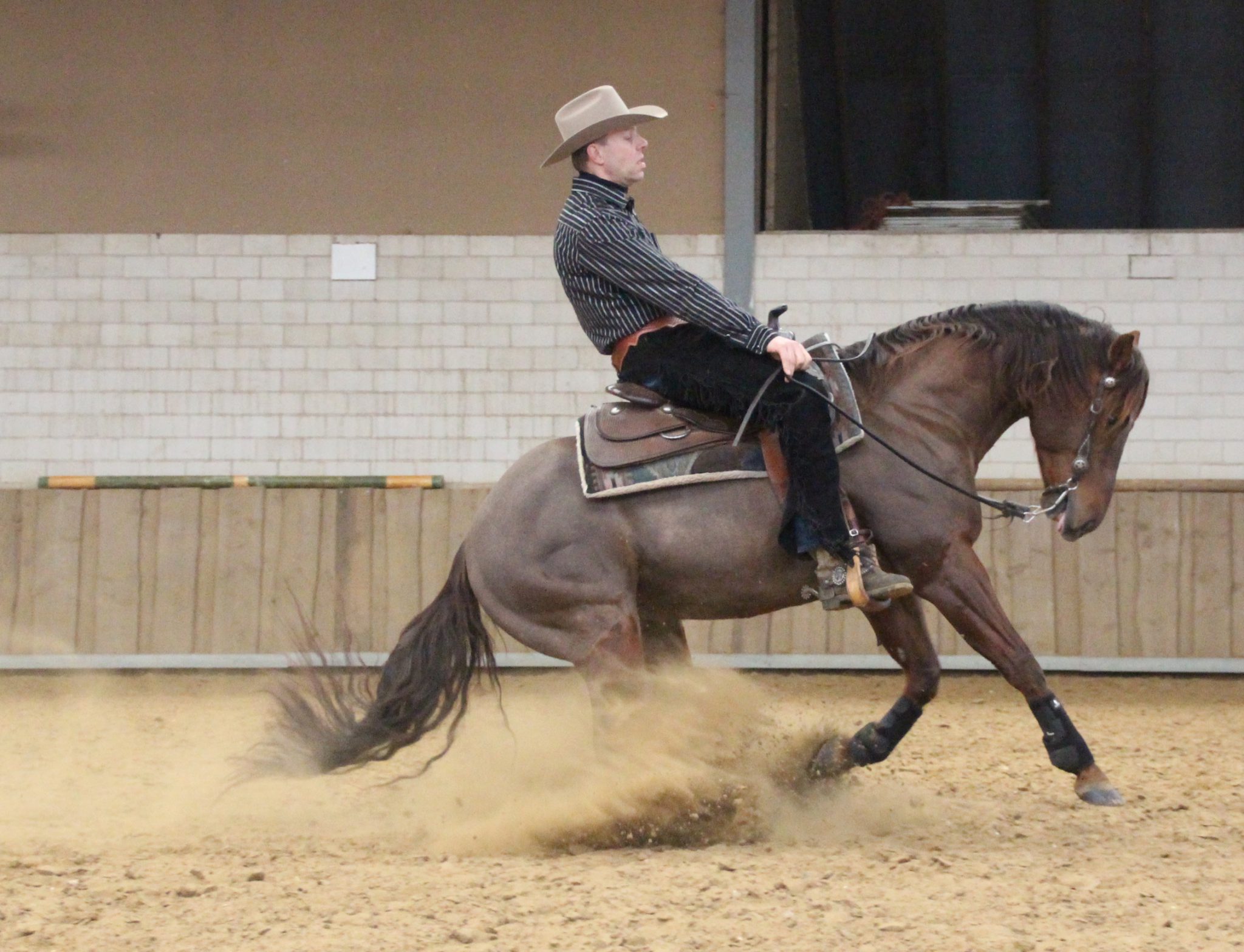 Open dag western rijden Roemer Quarter Horses - Rond Haaksbergen