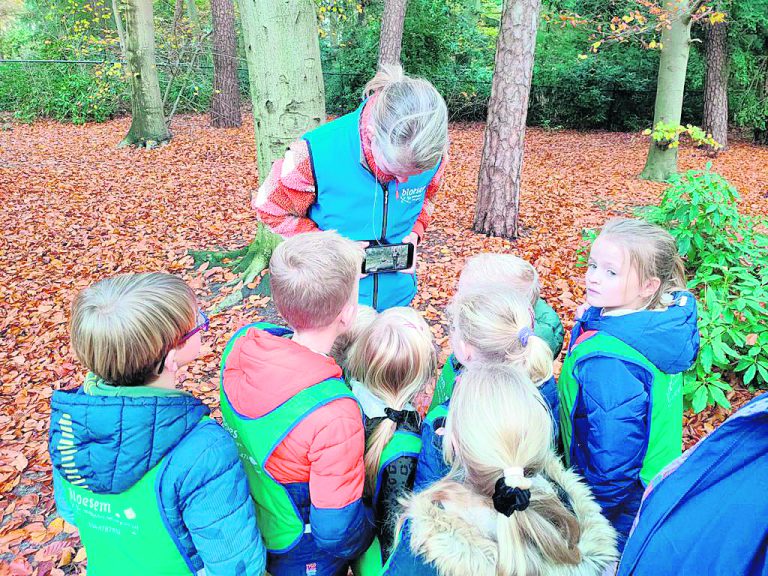 Grintenbos met QR-codepad - Rond Haaksbergen