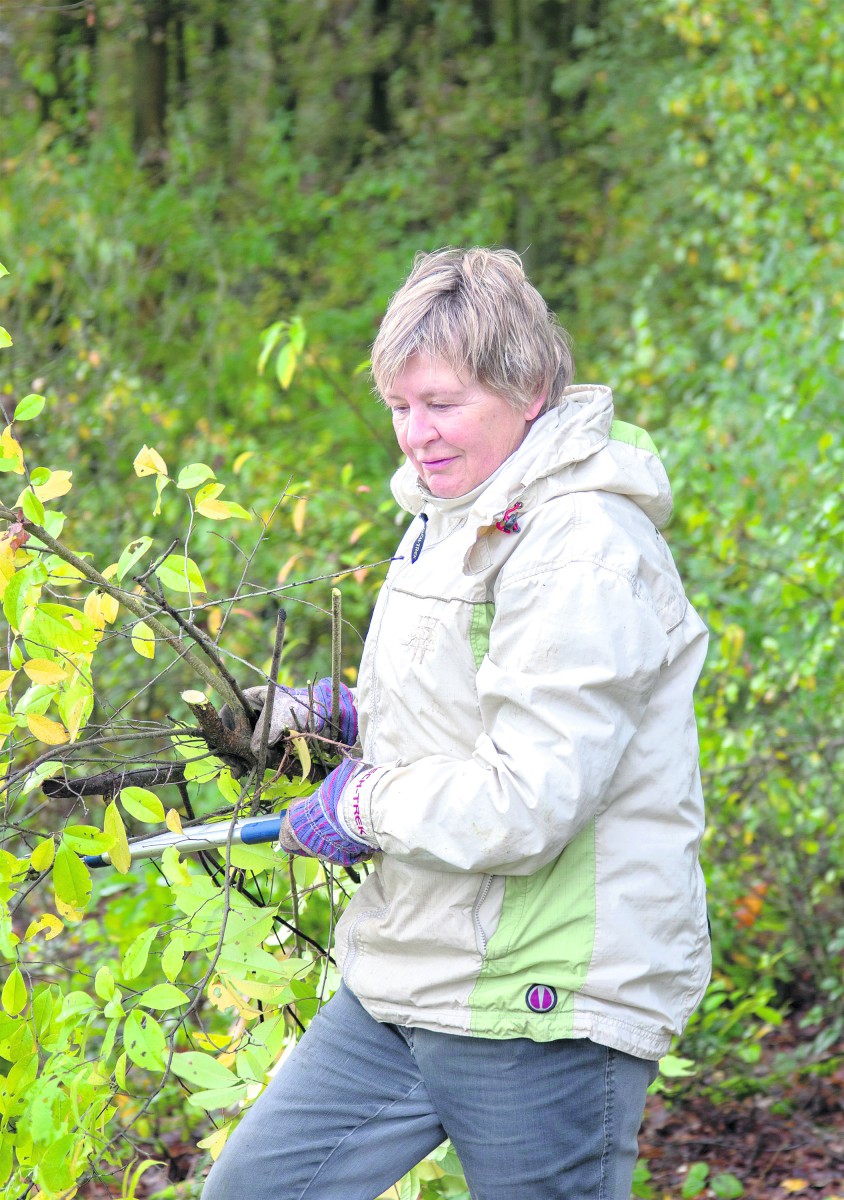 Vrijwilligers helpen mee in het natuurbeheer - Rond Haaksbergen