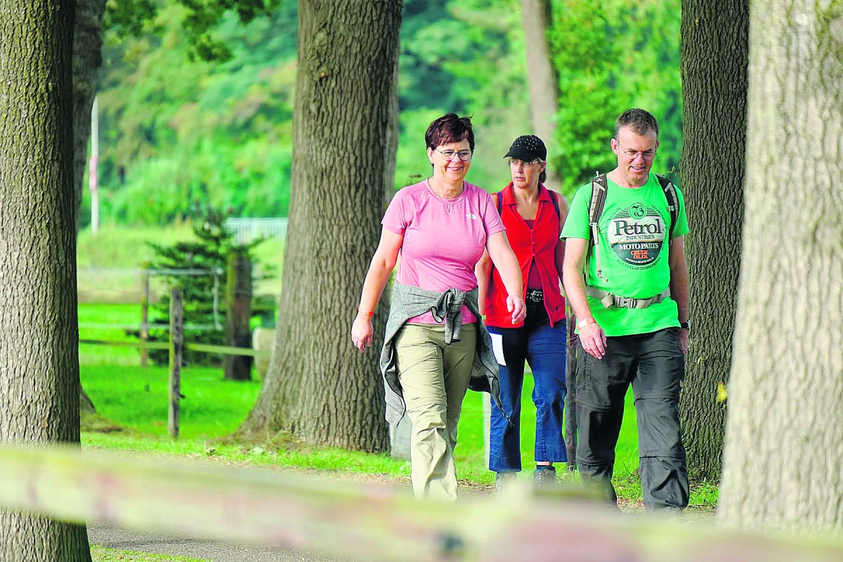 De paden op, de lanen in - Rond Haaksbergen